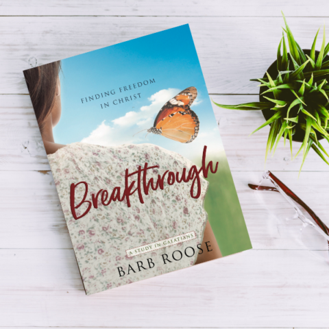 NEW! Breakthrough: Finding Freedom in Christ Bible Study