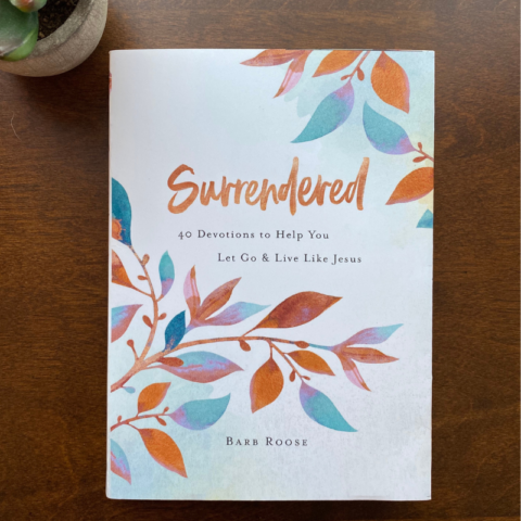 Barb’s Bible Studies & Books